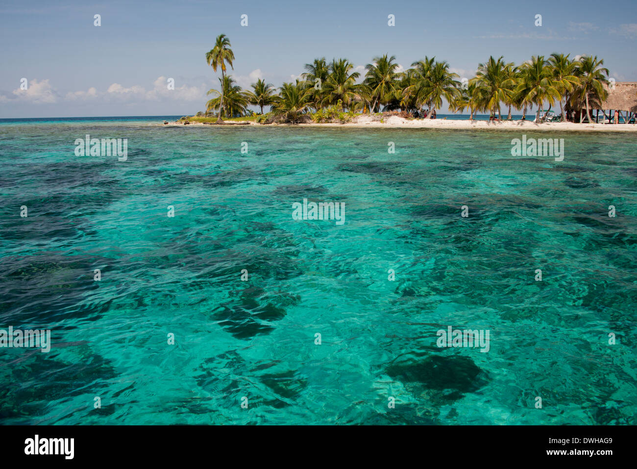 Belize, Caribbean Sea, Stann Creek District near Placencia. Laughing ...