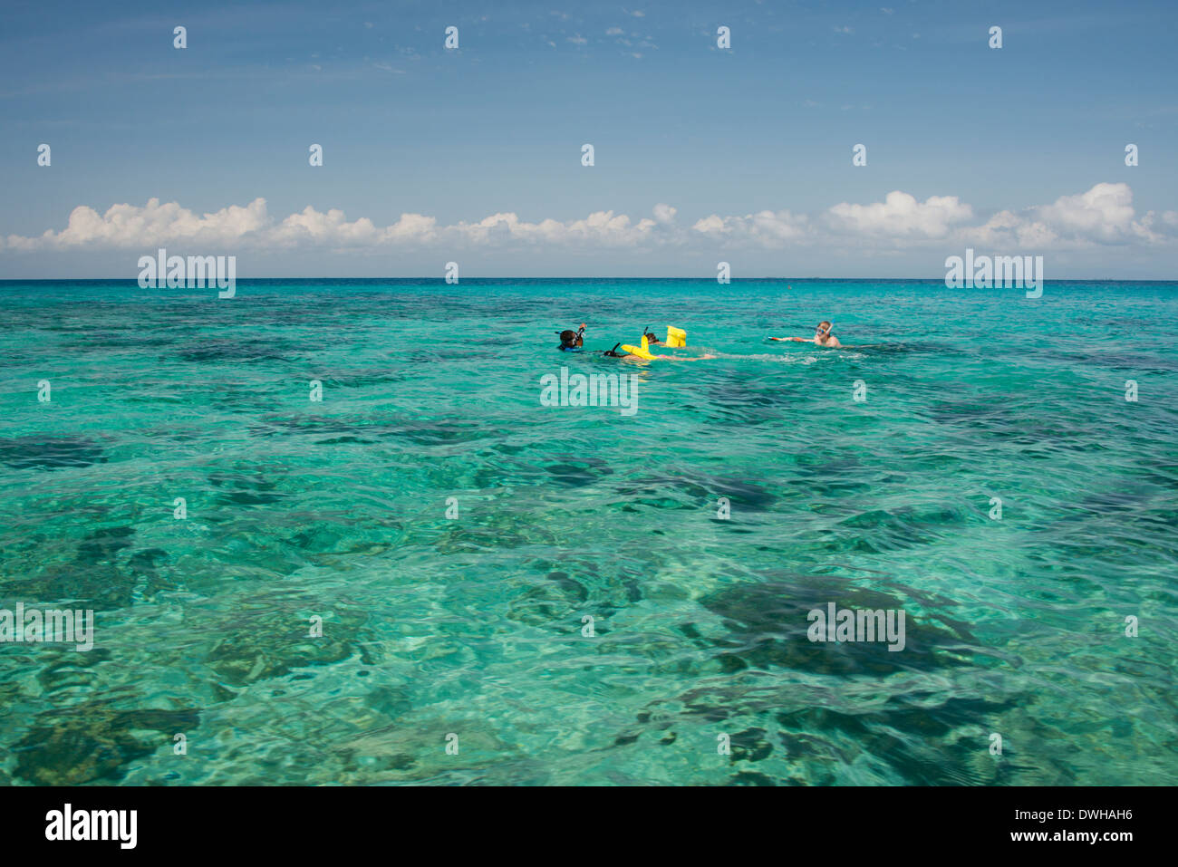 Belize, Caribbean Sea, Stann Creek District near Placencia. Laughing ...