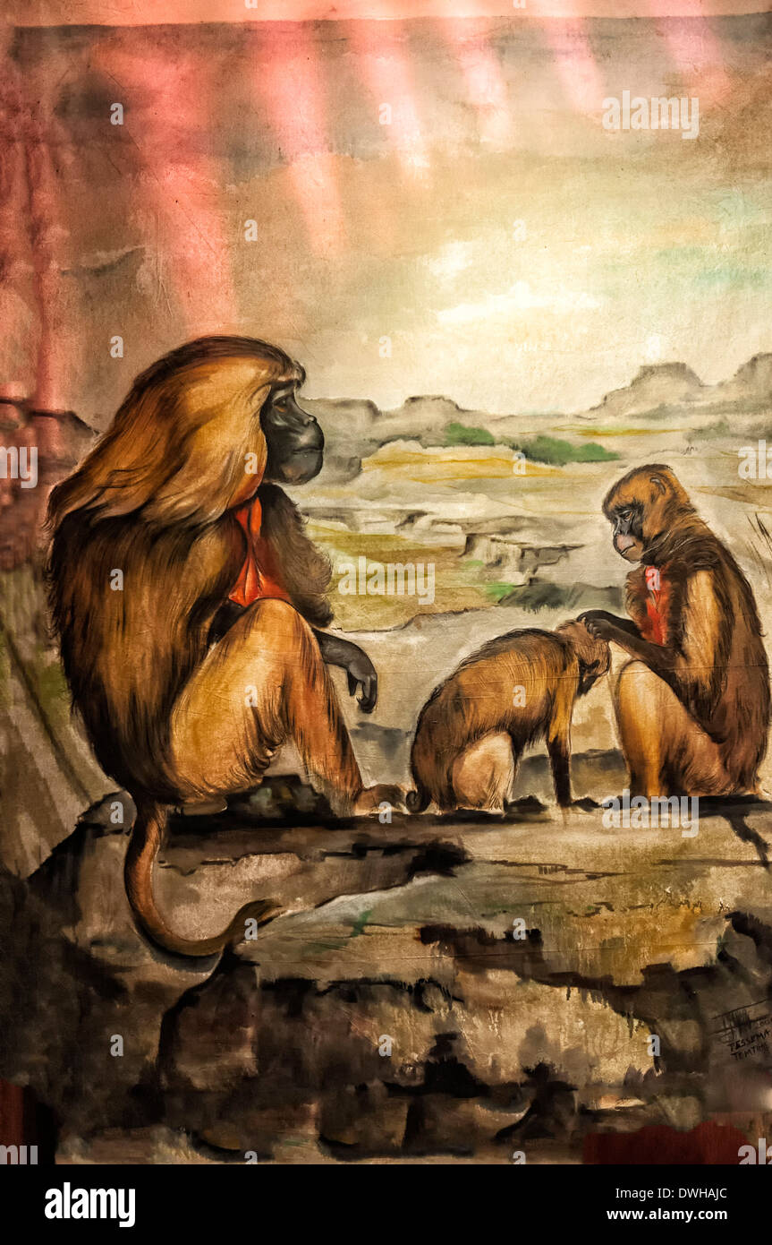 Gelada painting hi-res stock photography and images - Alamy