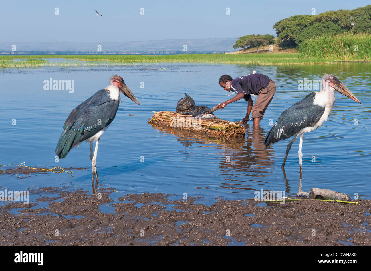 Fisherman and Marabou Stork Stock Photo - Alamy