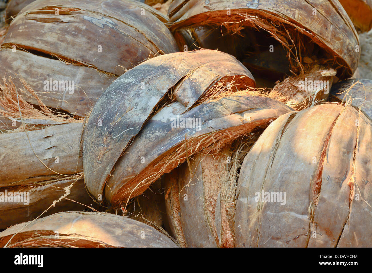 close-up coconut husk ; coconut husk has many usage Stock Photo - Alamy