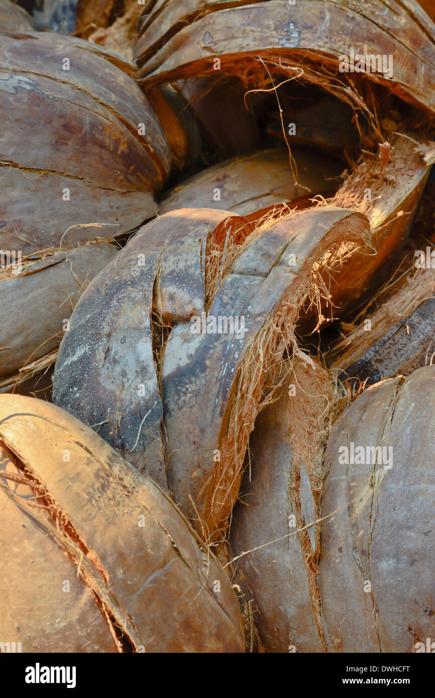 Coconut husk hi-res stock photography and images - Alamy