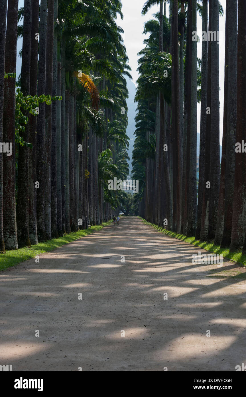 Jardim Botanico Rio de Janeiro Stock Photo - Alamy