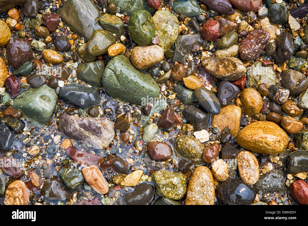 Colorful wet river rocks background Stock Photo - Alamy