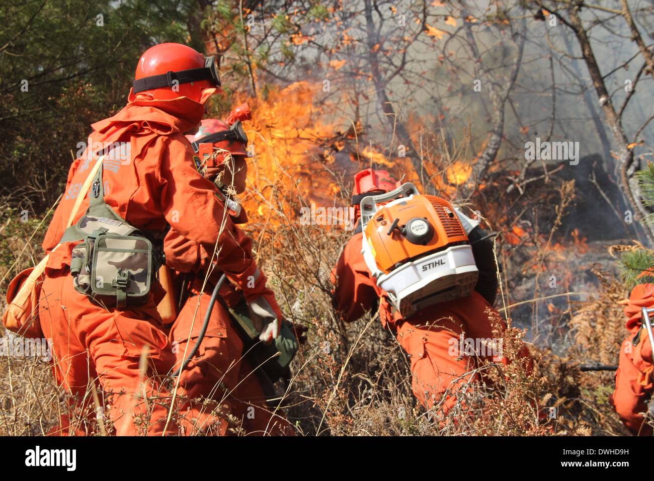 Kunming, China's Yunnan Province. 9th Mar, 2014. Firefighters douse a ...