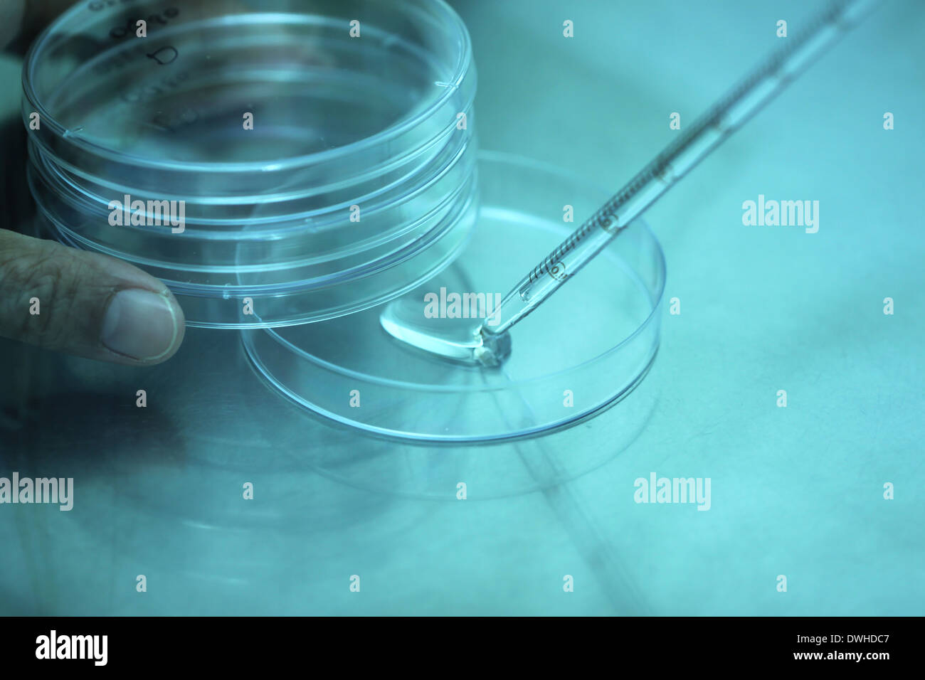 Chemical light test tube hi-res stock photography and images - Alamy