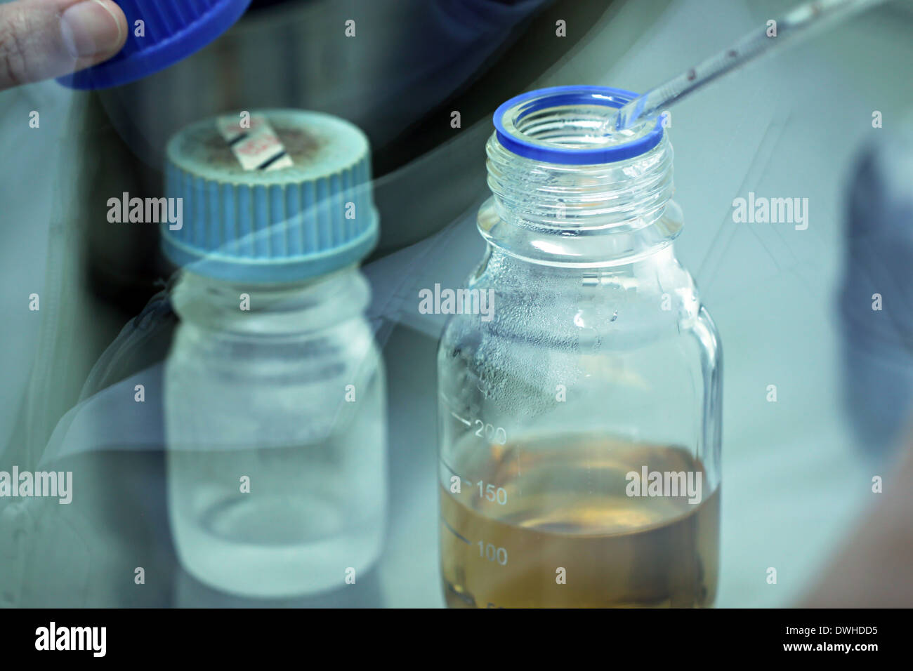 Pipette adding fluid water to test bottle in laboratory Stock Photo - Alamy