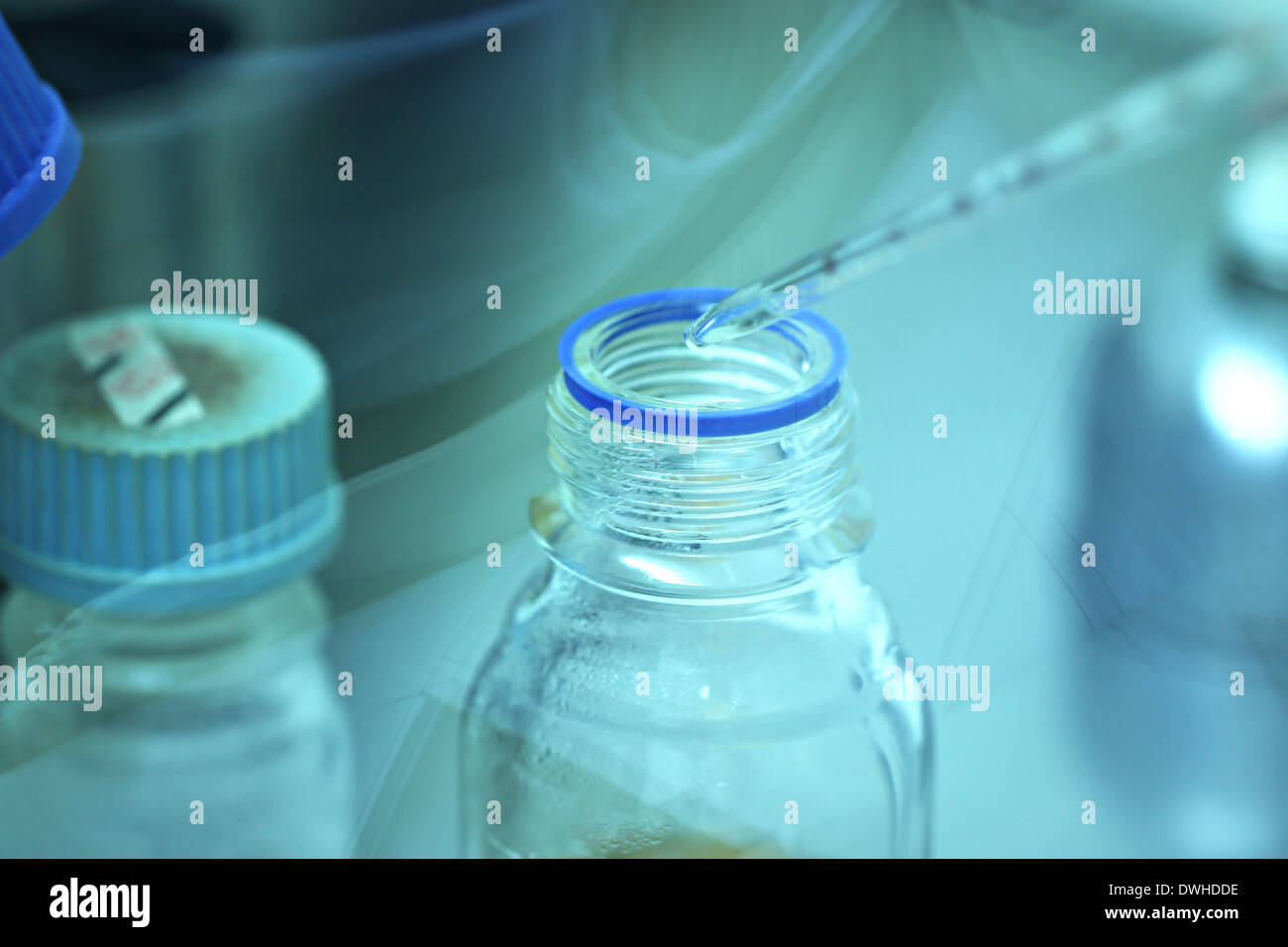 Pipette adding fluid water to test bottle in laboratory Stock Photo - Alamy