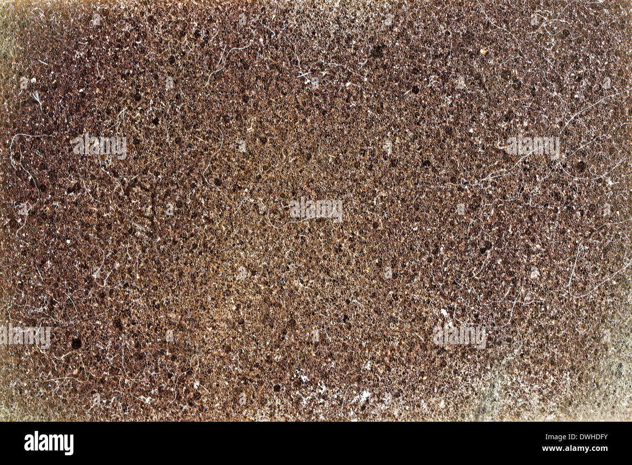 Abstract old sponge texture for background Stock Photo - Alamy