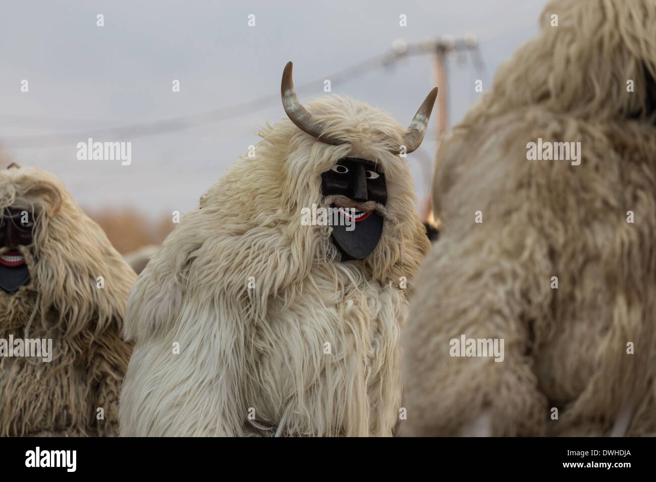 Mohacs, Hungary. 4th Mar, 2014. Busos in large wool cloaks are marching ...
