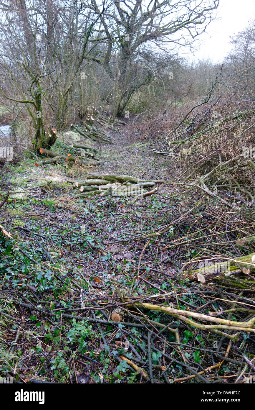 Hazel fence hi-res stock photography and images - Alamy