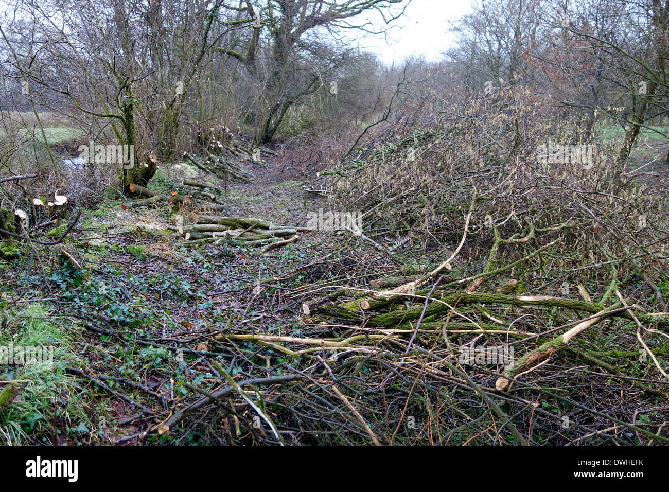 Hazel fence hi-res stock photography and images - Alamy