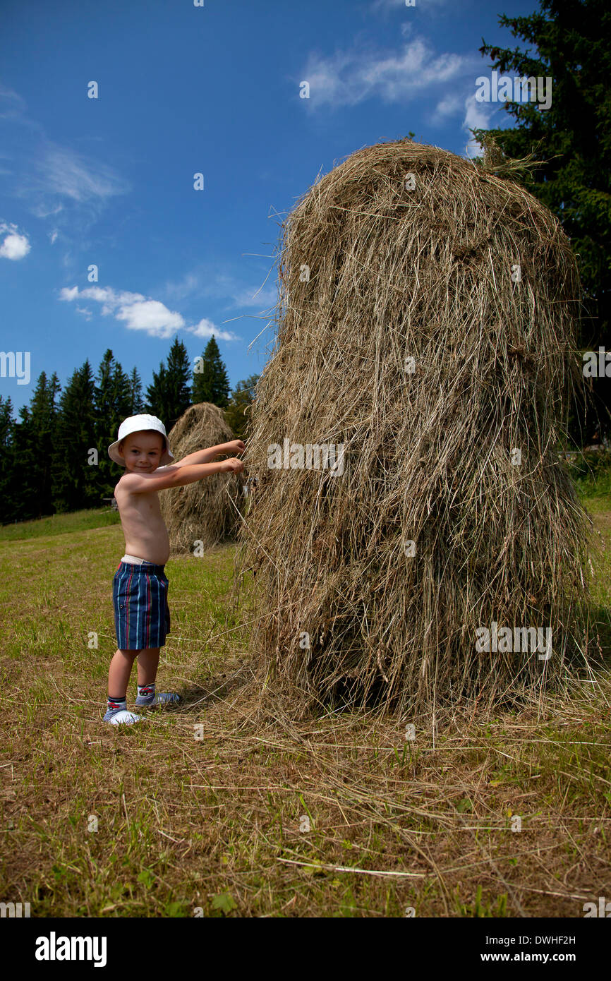 Haystack hi-res stock photography and images - Alamy