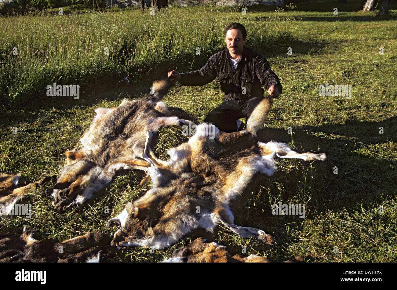 Fur hunter displays his catch. Photographed in Romania Stock Photo - Alamy
