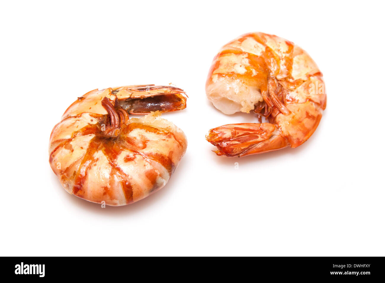 Cooked Tiger prawn or Asian tiger shrimp. Isolated on a white studio ...