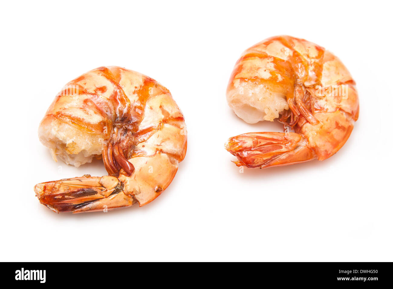 Cooked Tiger prawn or Asian tiger shrimp. Isolated on a white studio ...