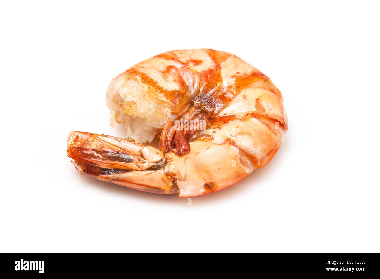 Cooked Tiger prawn or Asian tiger shrimp. Isolated on a white studio ...