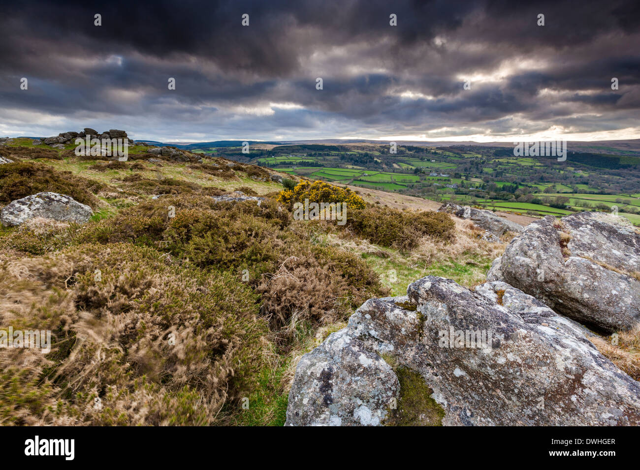 Meldon Hill, Dartmoor National Park, Chagford, West Devon, England, UK ...