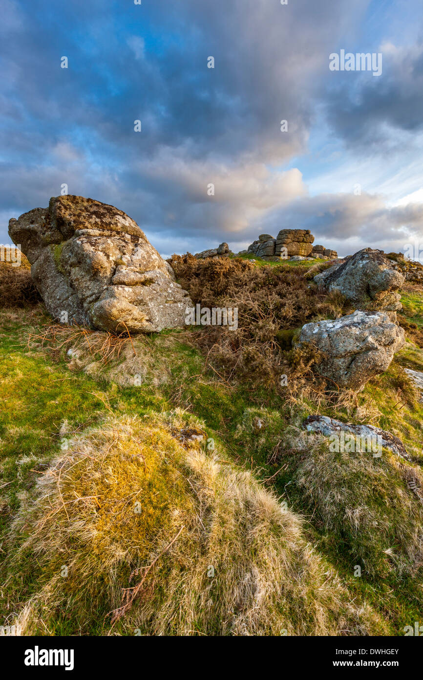 Meldon Hill, Dartmoor National Park, Chagford, West Devon, England, UK ...