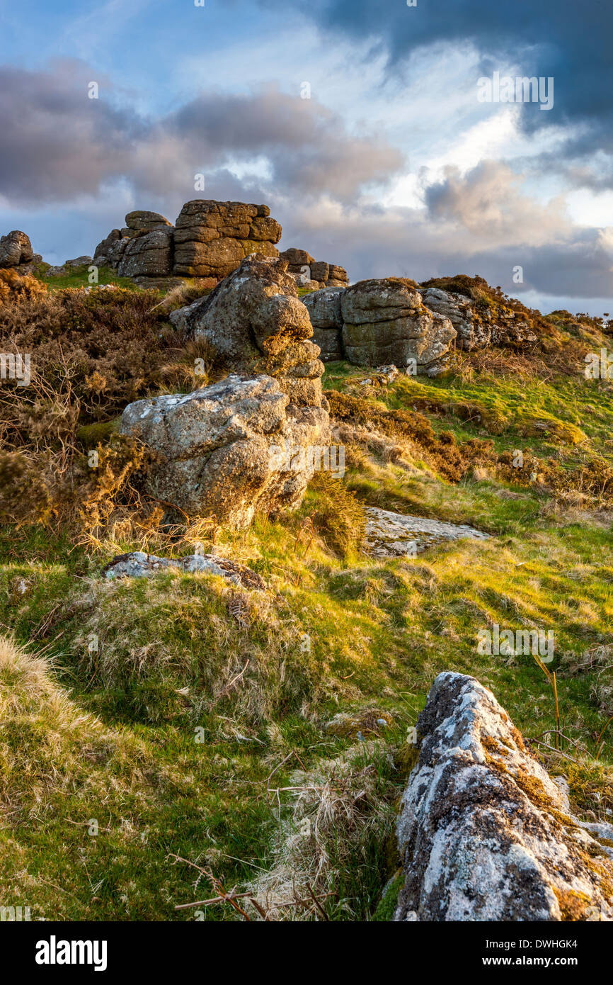 Meldon Hill, Dartmoor National Park, Chagford, West Devon, England, UK ...