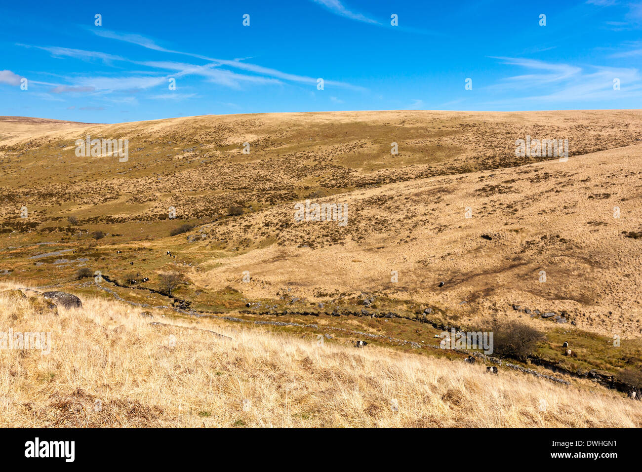 Steeperton Gorge, Dartmoor National Park, Belstone, West Devon, England ...
