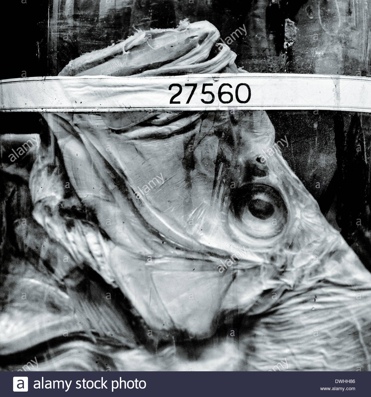 Preservatives Jars High Resolution Stock Photography and Images - Alamy