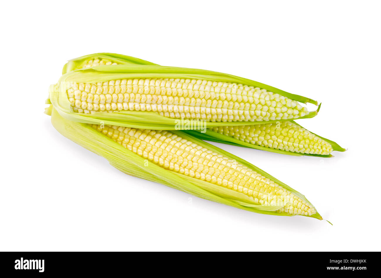 Three corn cobs with purified shell isolated on white background Stock ...