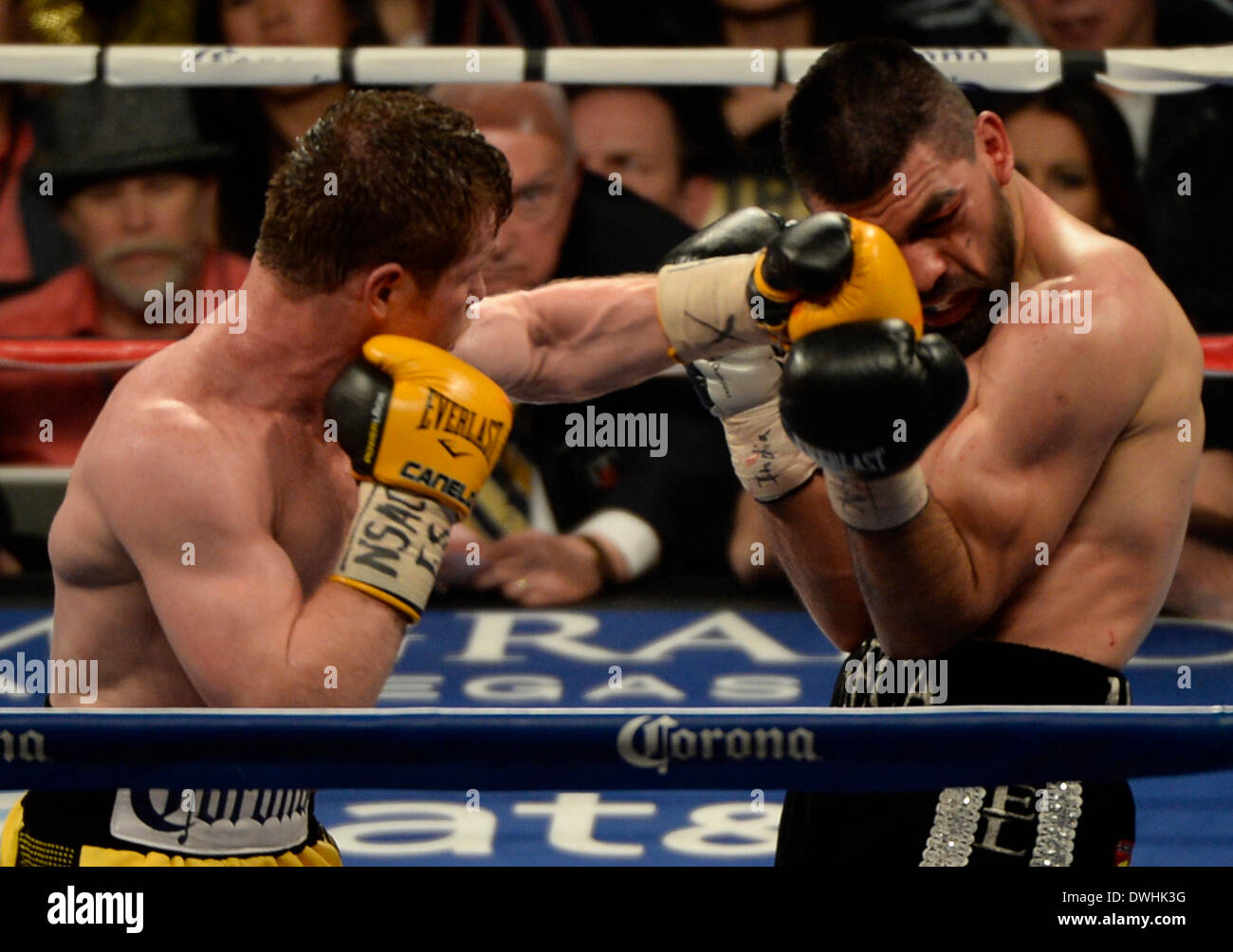 March 8, 2014. Las Vegas NV.(in-yellow trunks) Canelo Alvarez goes 10 ...