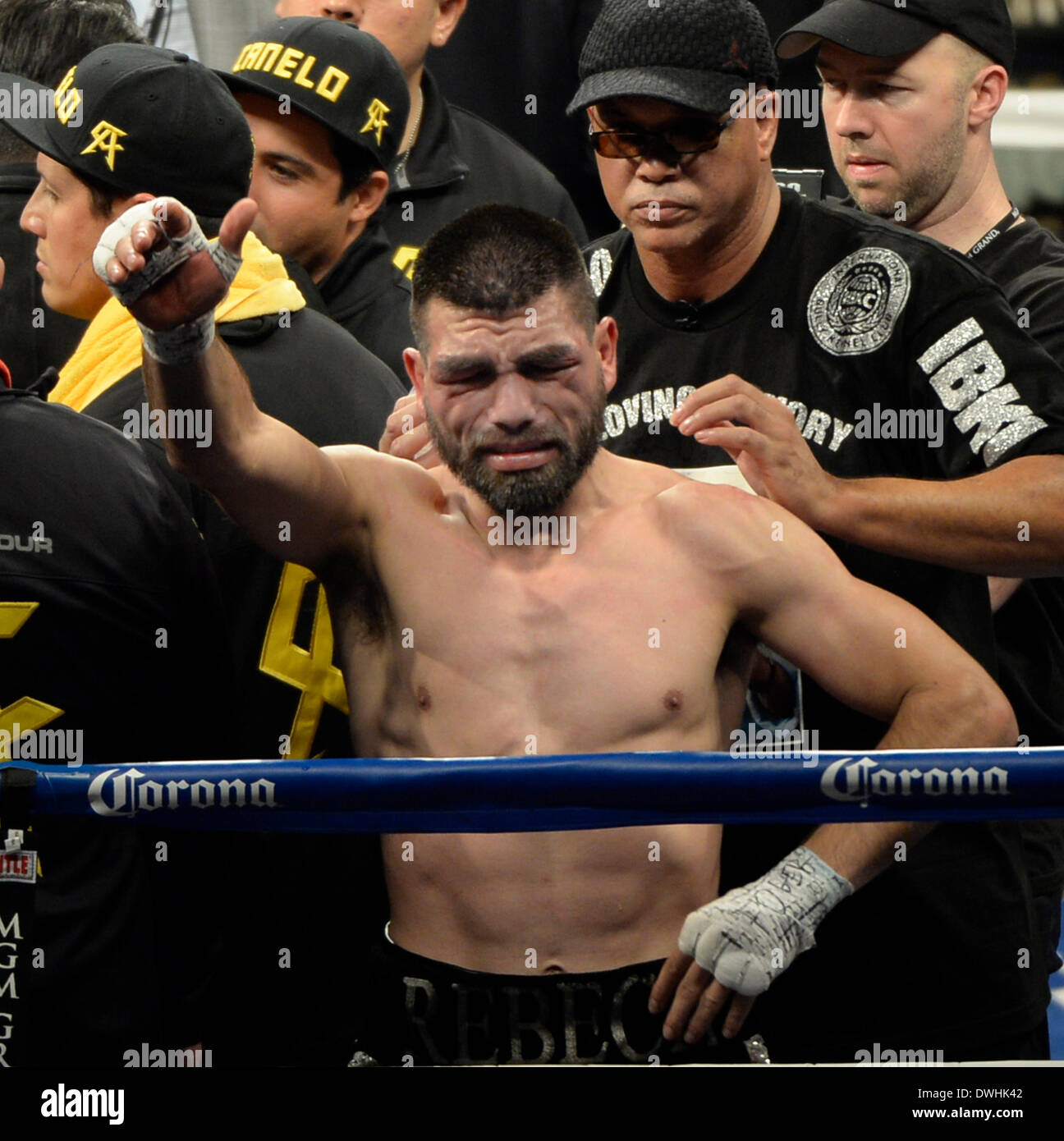 Canelo Alvarez Vs Alfredo Angulo