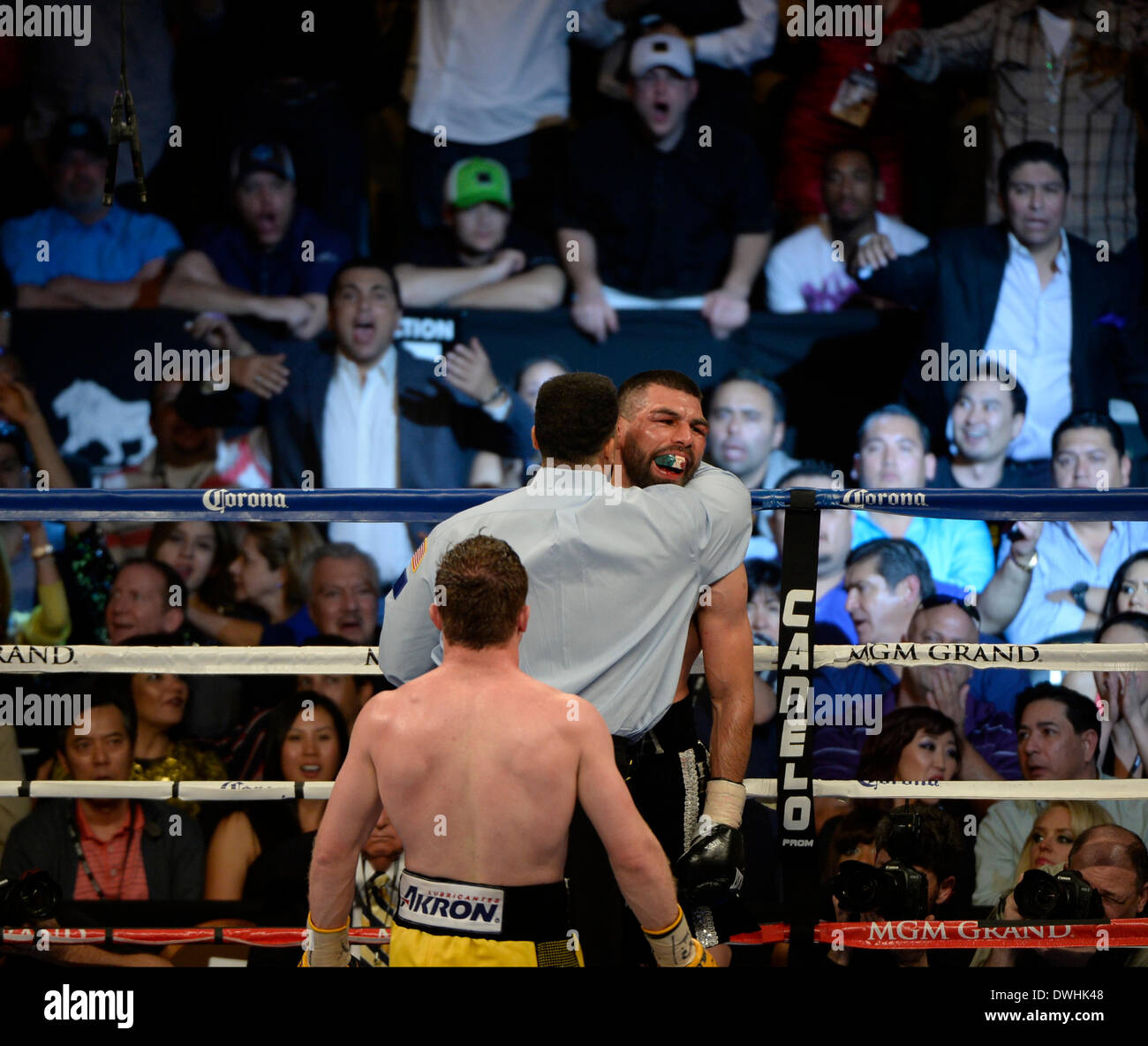 Las Vegas NV, USA. 8th March, 2014. Boxing fans go nuts as Alfredo ...