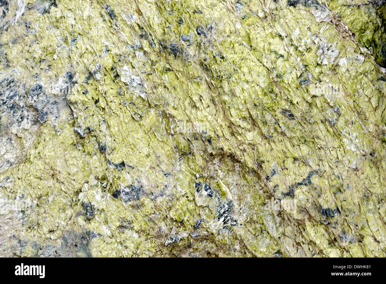 Texture of natural gray granite with green scales mineral Stock Photo ...