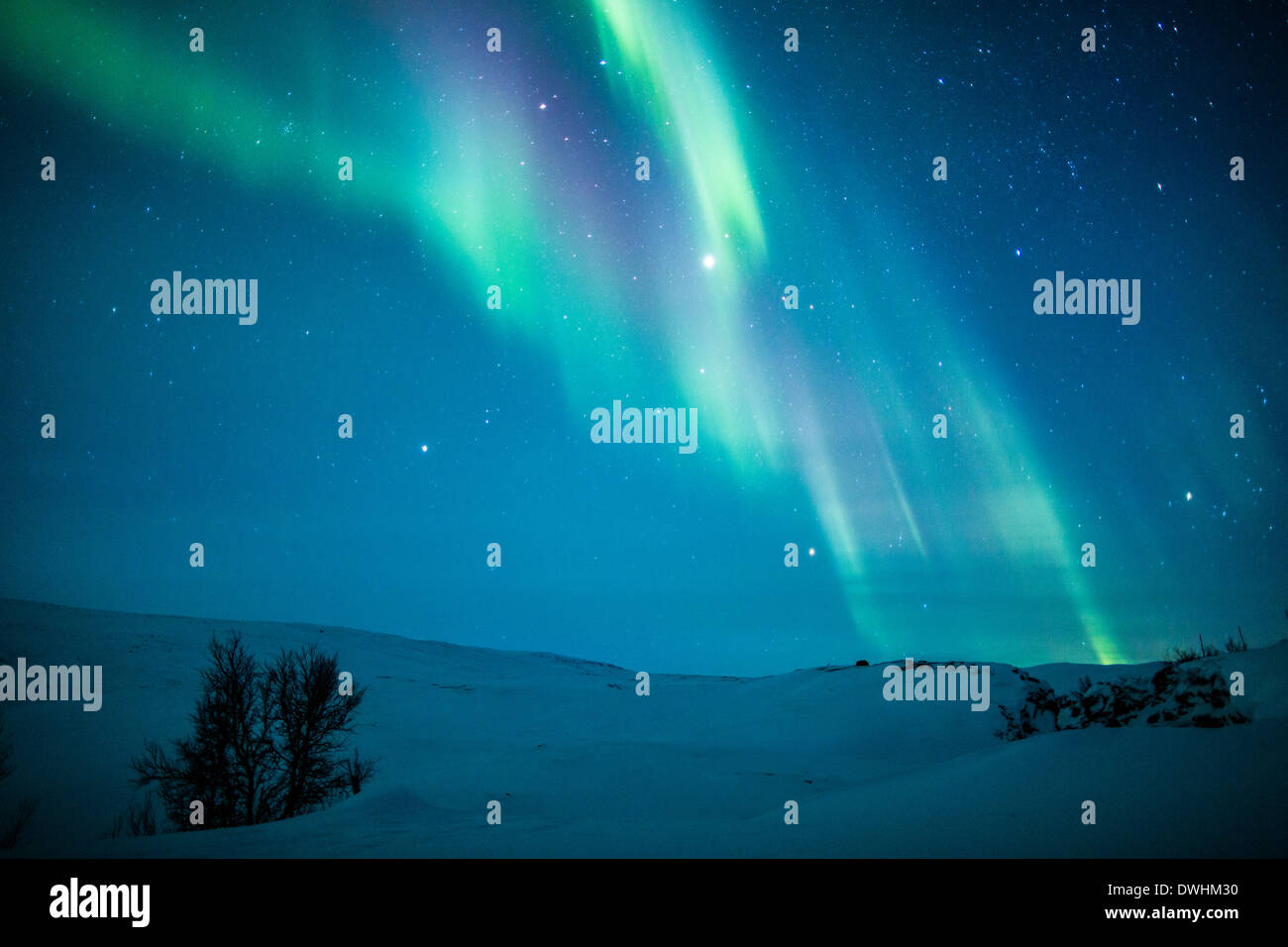 Northern lights above snow hi-res stock photography and images - Alamy