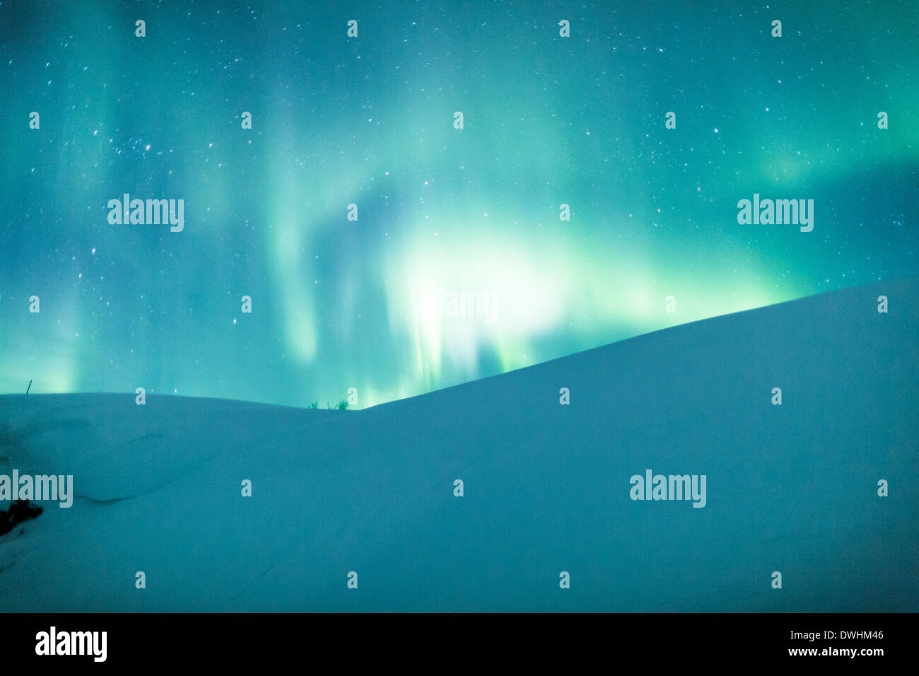 Northern lights (Aurora borealis) above snow scene Stock Photo - Alamy