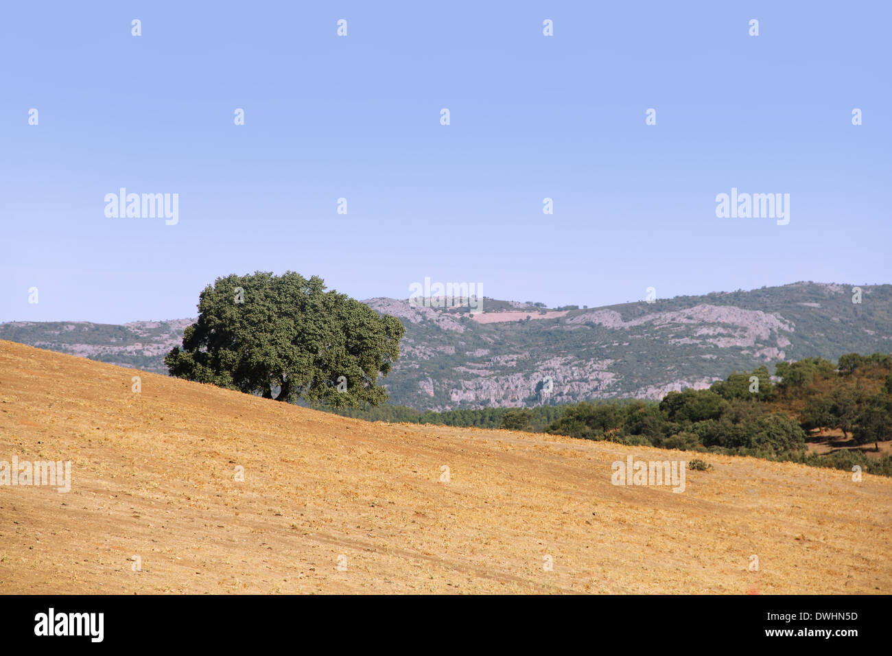 Spanish landscape with mountains fields and trees Stock Photo - Alamy