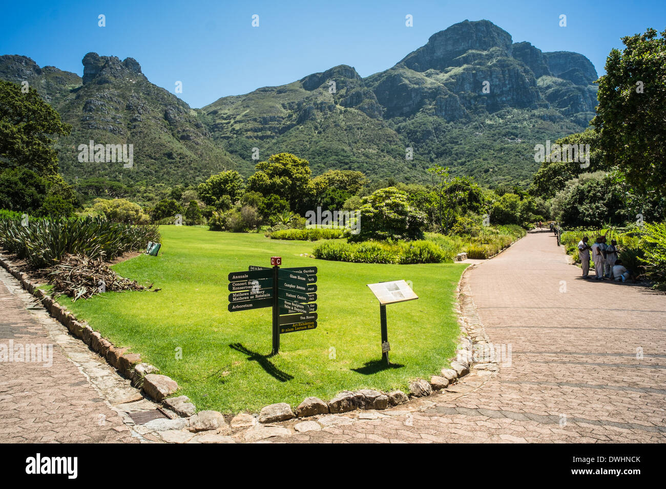 Botanical Gardens, Cape Town, South Africa Stock Photo - Alamy