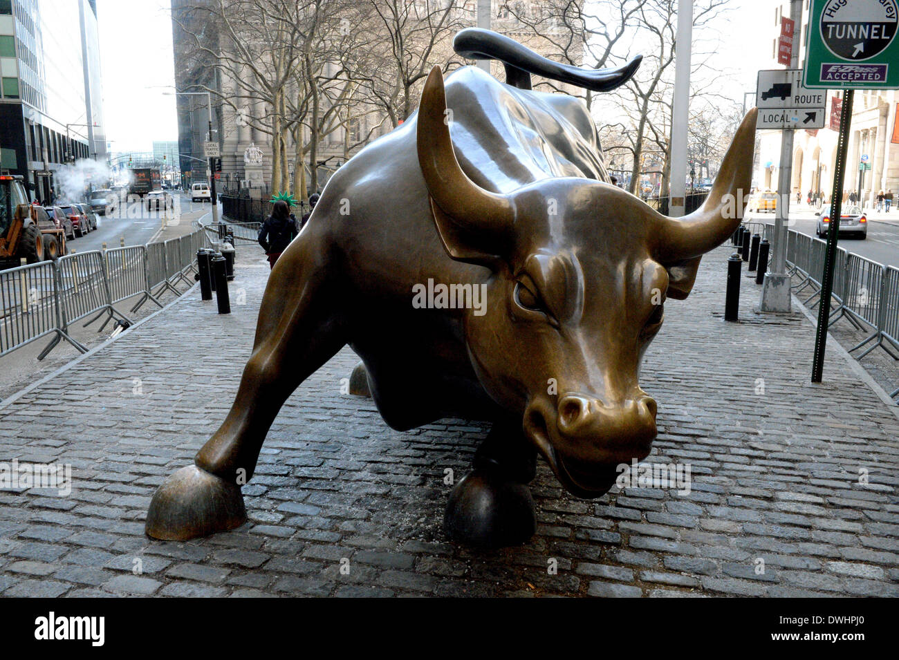 New York City, USA. 08th Mar, 2014. The Charging Bull (Wall Street Bull) near Wall Street in New ...