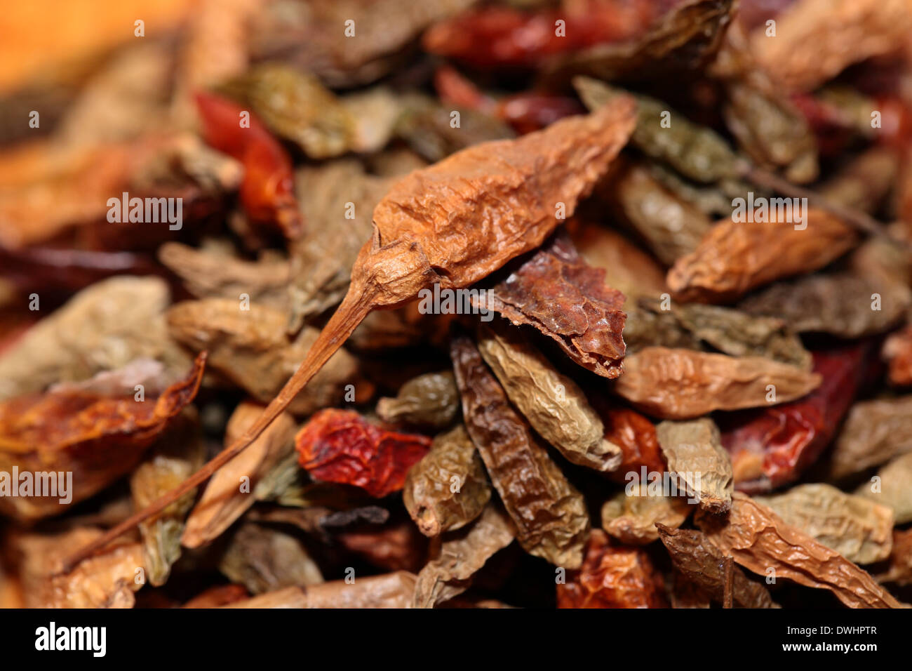 Closeup of red dried chilli background Stock Photo - Alamy