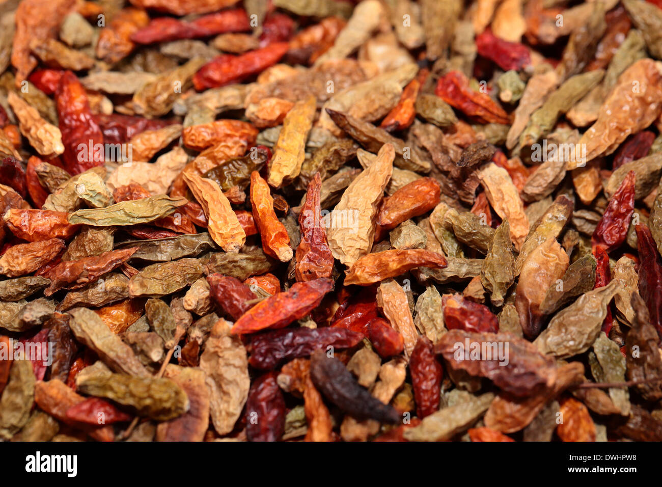 Closeup of red dried chilli background Stock Photo - Alamy