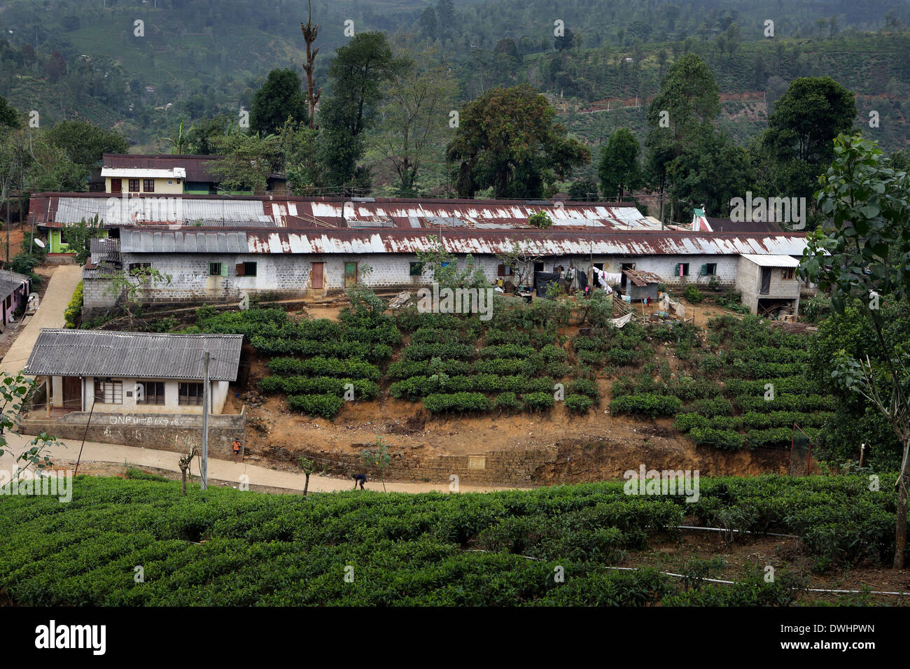 Tea plantation community residential housing on the Sri Lanka highlands ...