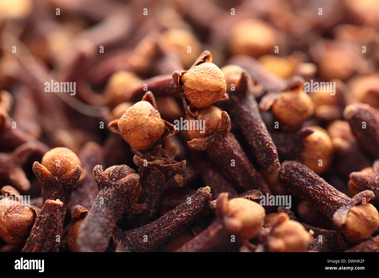 Macro of spice cloves Stock Photo - Alamy