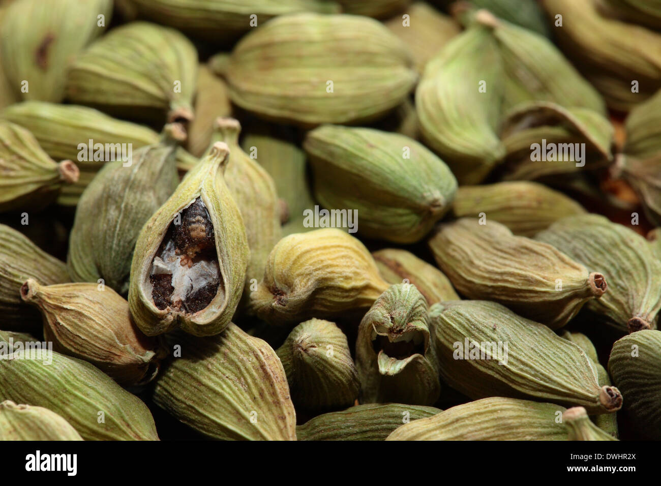 Green cardamom seeds. Aromatic spice.texture background Stock Photo - Alamy
