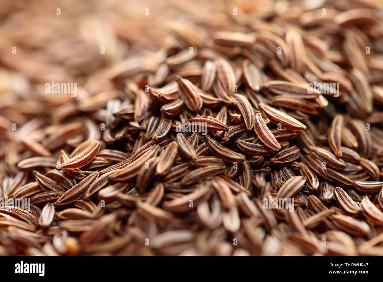 Cumin seeds texture, full frame background Stock Photo - Alamy