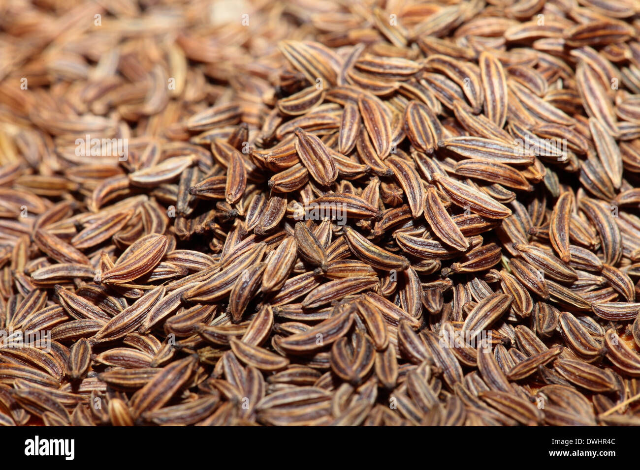 Cumin seeds texture, full frame background Stock Photo - Alamy