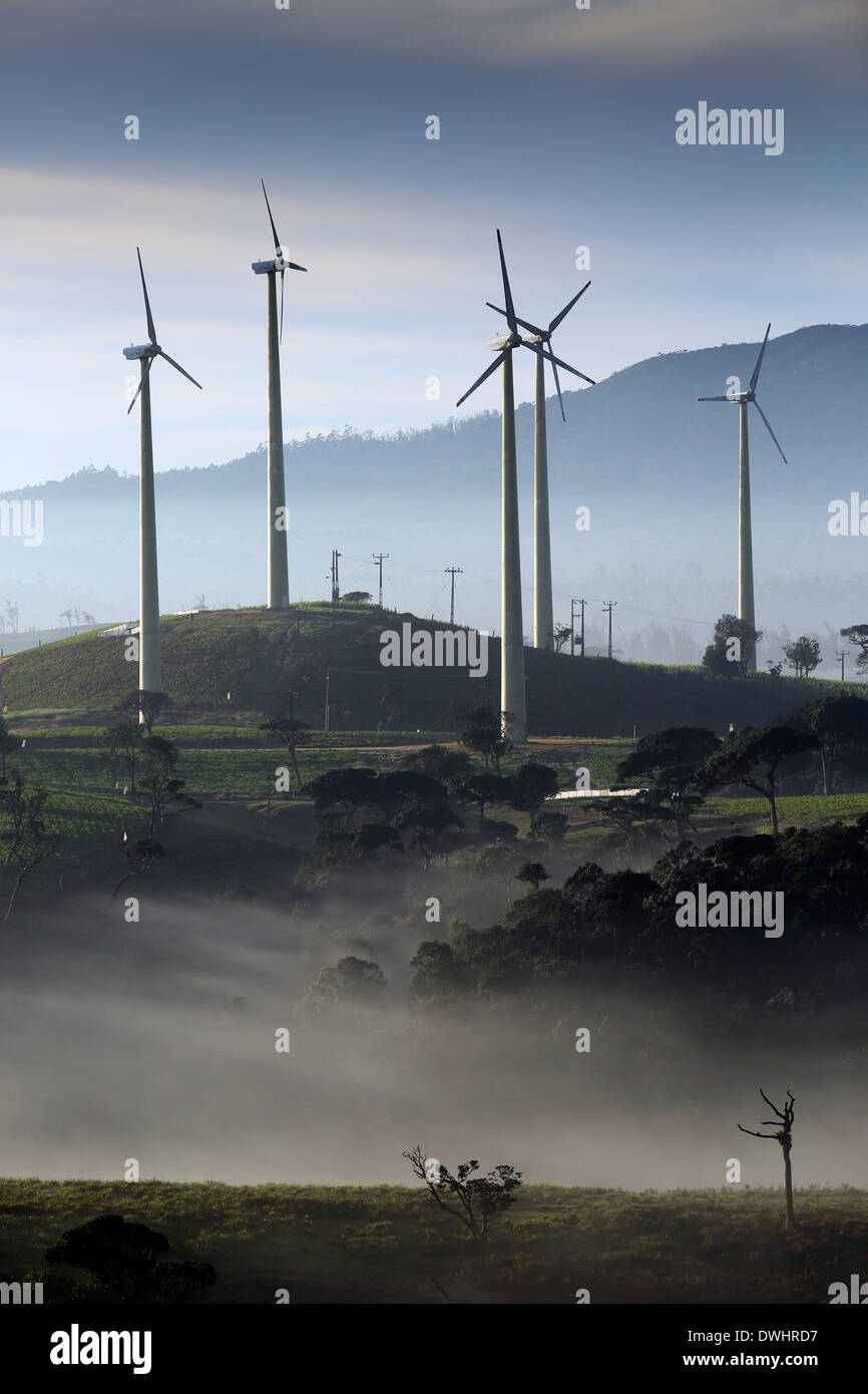 Indian wind energy turbines hi-res stock photography and images - Alamy