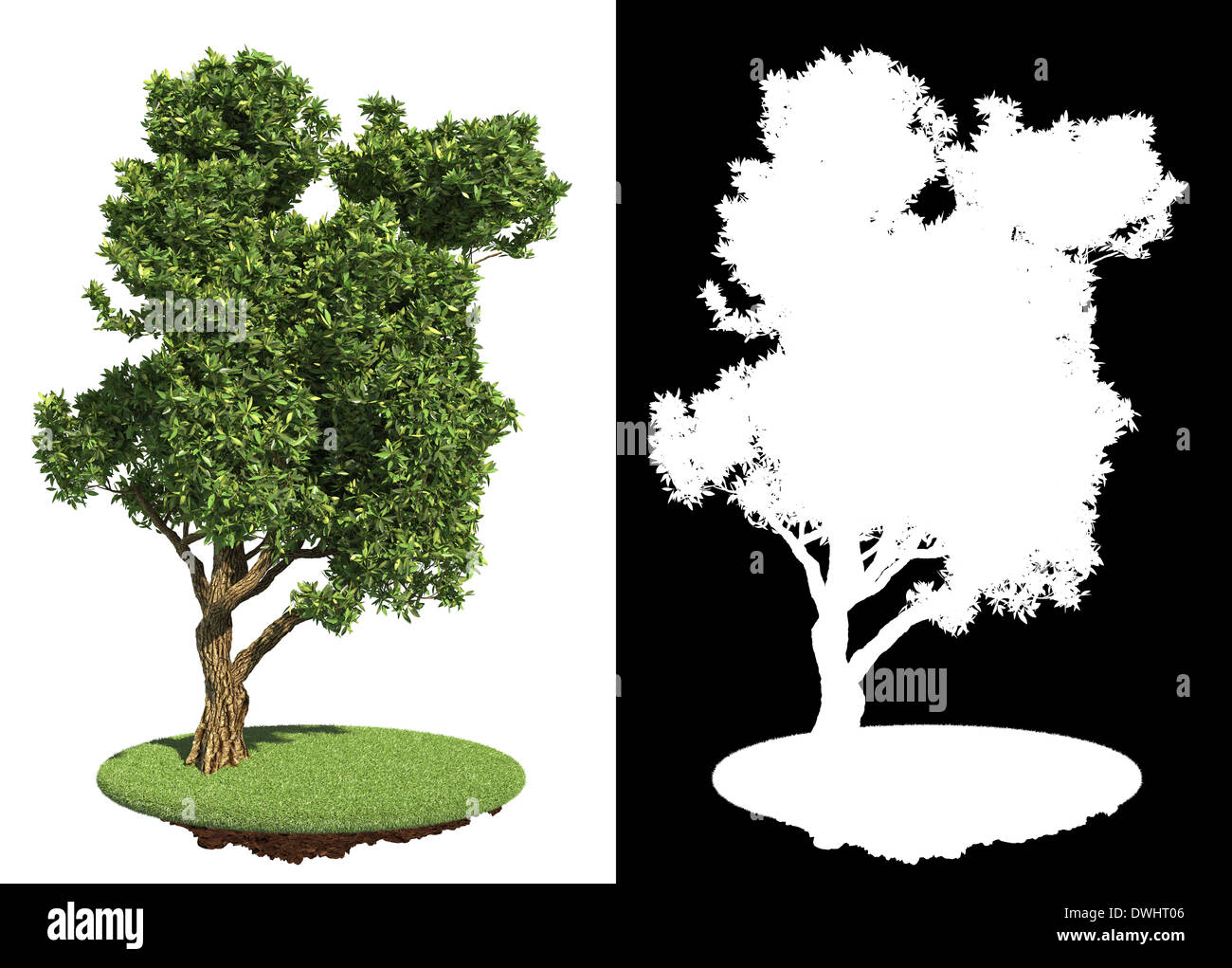 Asymmetric detail hi-res stock photography and images - Alamy