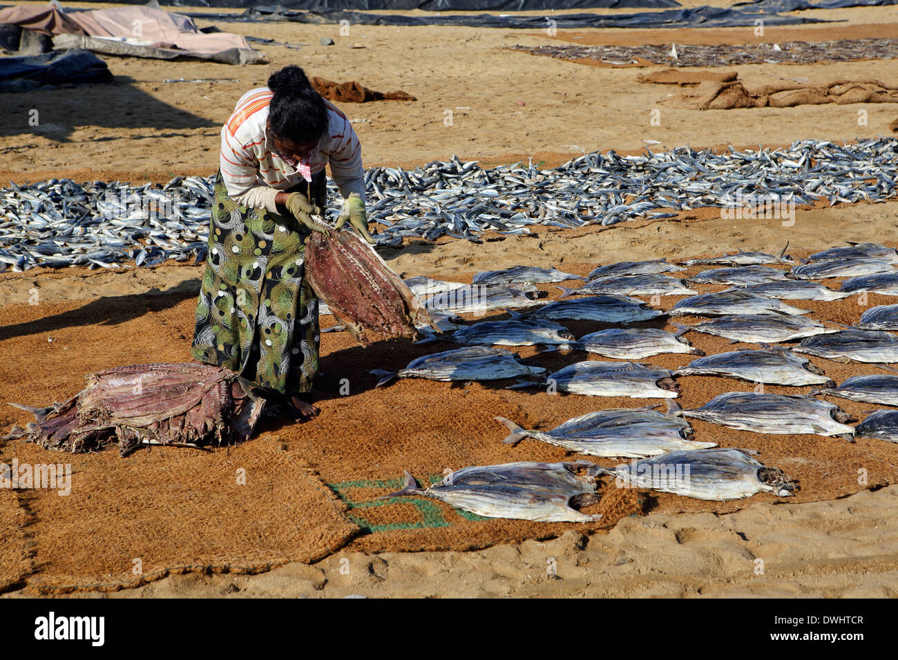 Laying out in sun hi-res stock photography and images - Alamy