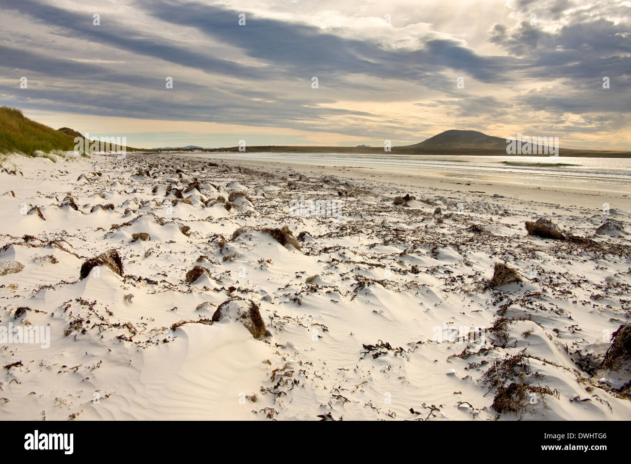 Four Mile Beach & Elephant Bay on Pebble Island in the Falkland Islands ...
