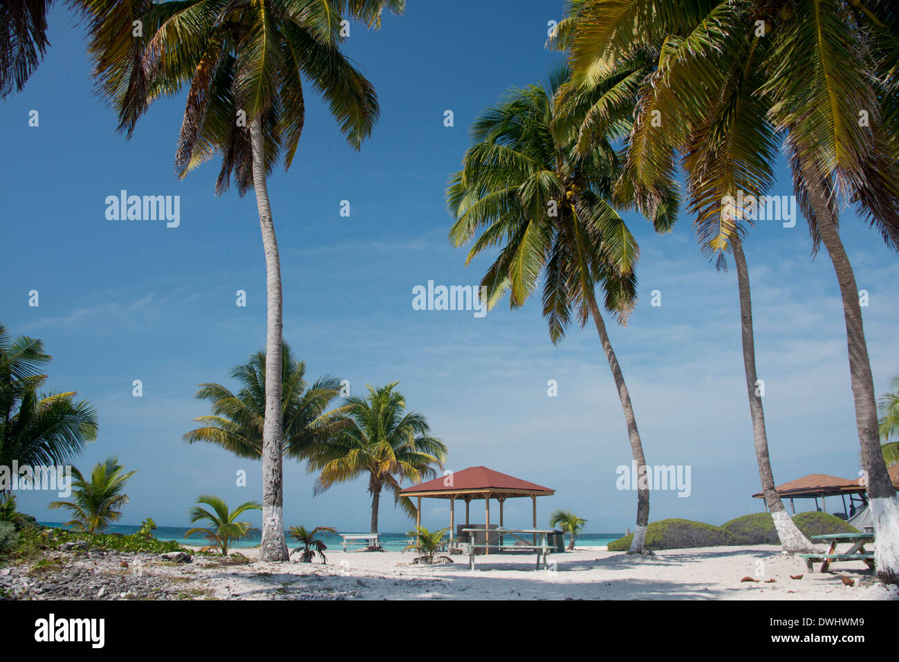 Belize, Caribbean Sea, District of Belize. Goff Caye, popular Barrier ...