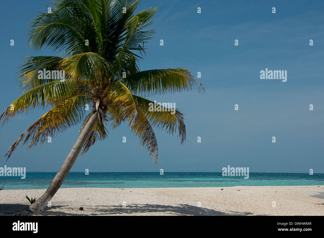 Belize, Caribbean Sea, District of Belize, Goff Caye, popular Barrier ...