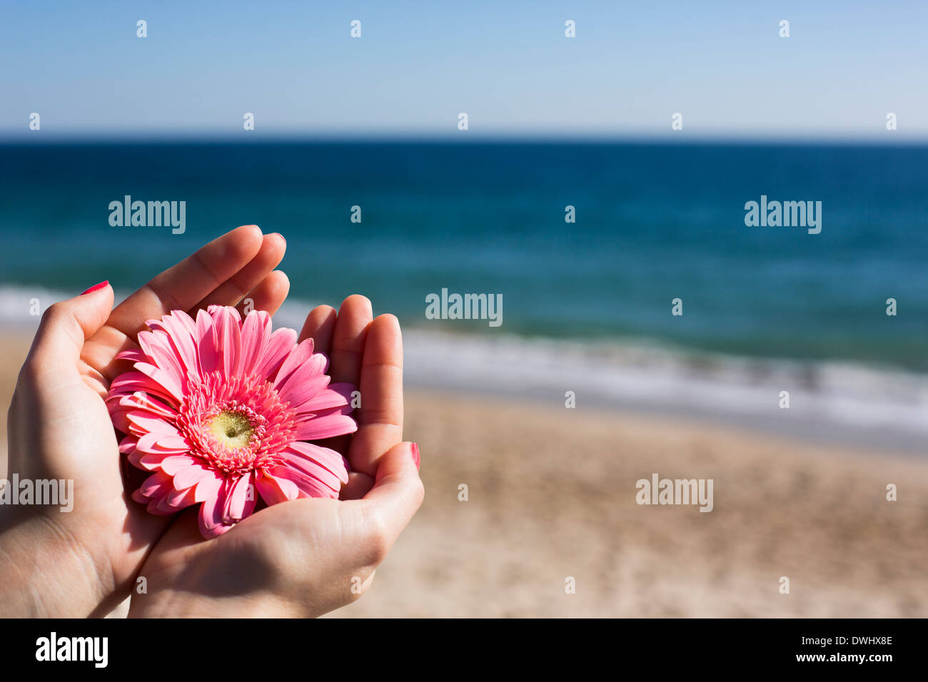 Drop flower hi-res stock photography and images - Alamy